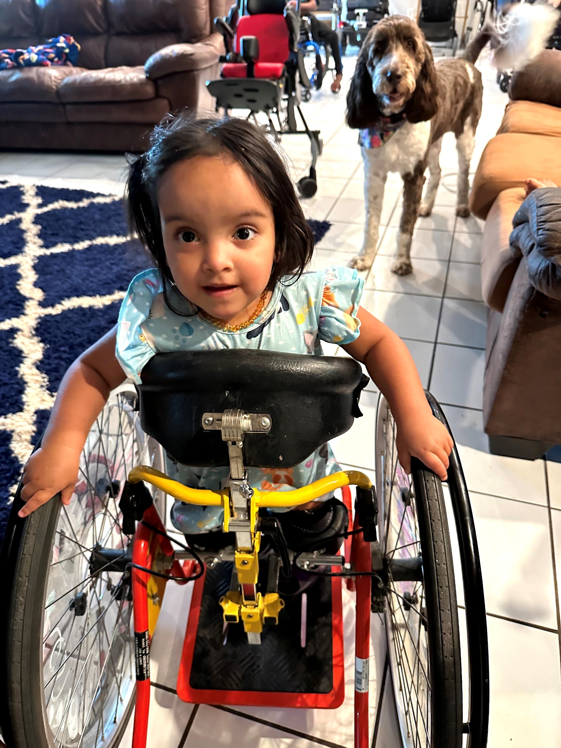 Meet Alisson!! | Wheelchairs 4 Kids
